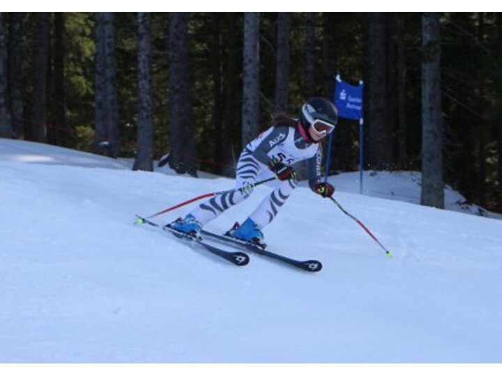 SV Falken · Wangen im Allgäu